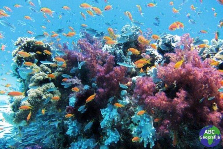 Svjetski ocean - ABC Geografija