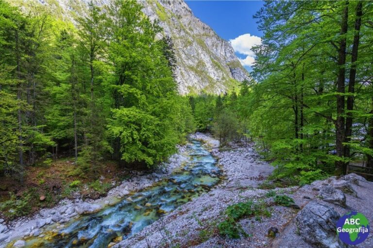 Rijeka Sava - zanimljivosti i činjenice - ABC Geografija